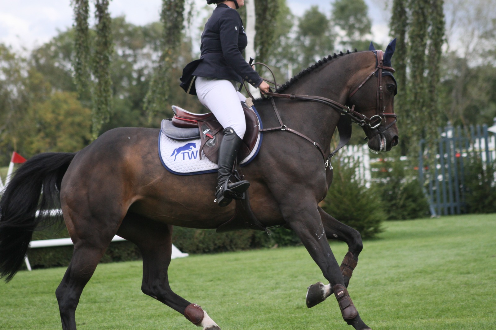 TW back at the home of British showjumping - TW Stables